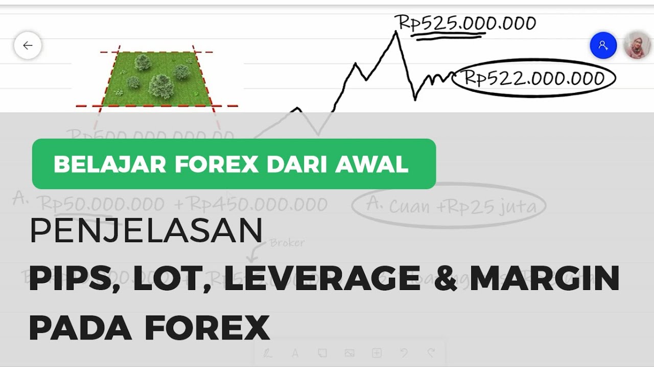 Penjelasan Pips, Lot, Leverage & Margin - Belajar Forex dari Awal - YouTube