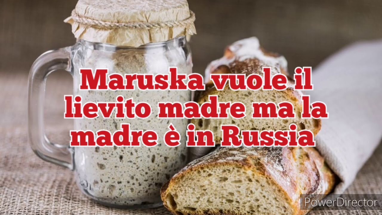 Povero Rocco Loria - Telefonata per lievito madre - YouTube