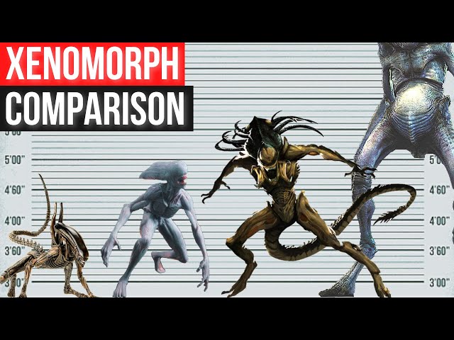 Evolution Of Alien Xenomorph Size Comparison Easy Anti