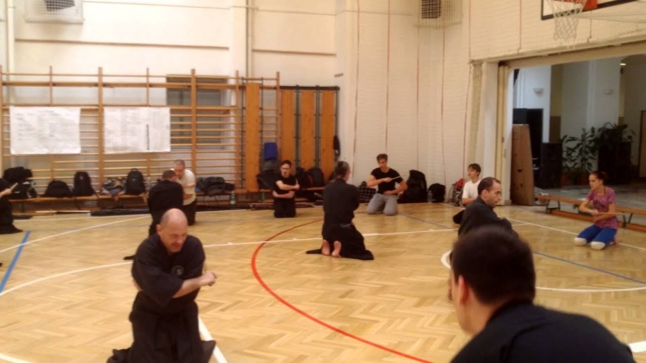 SHNK Seminar 20114.12.14 Budapest - YouTube