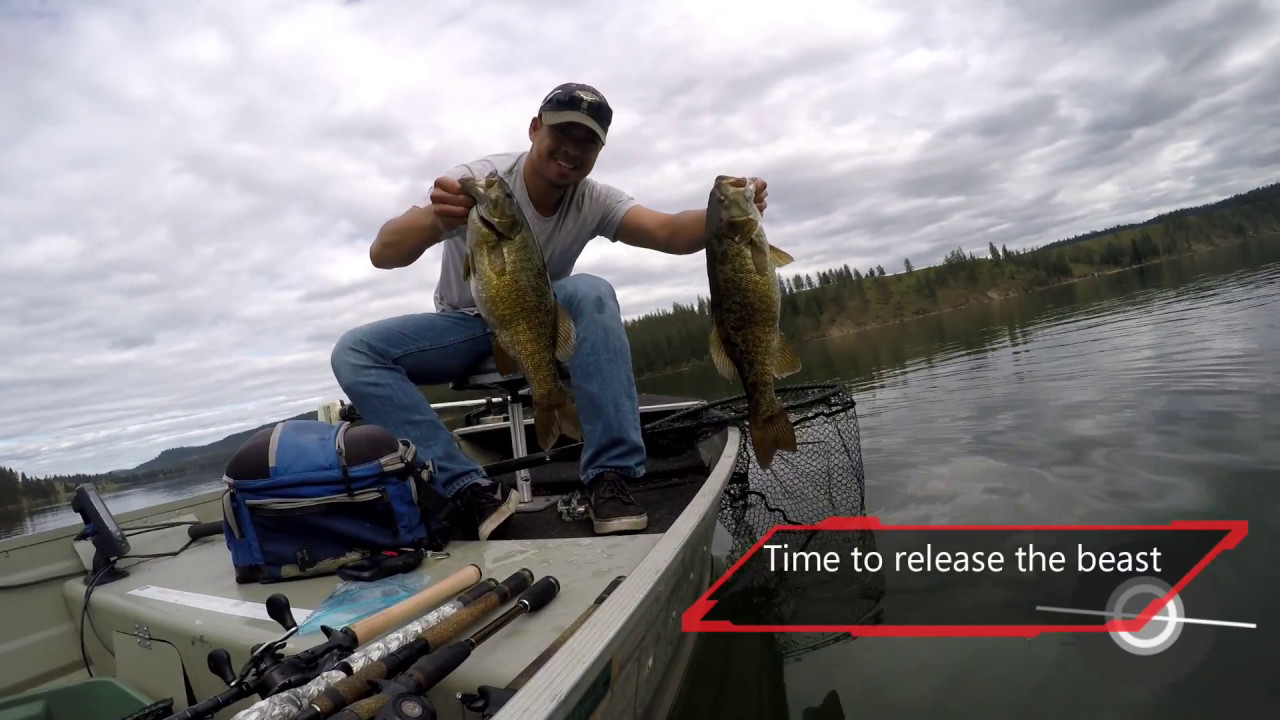 Giant smallmouth using KVD square bills and lipless crank baits - YouTube