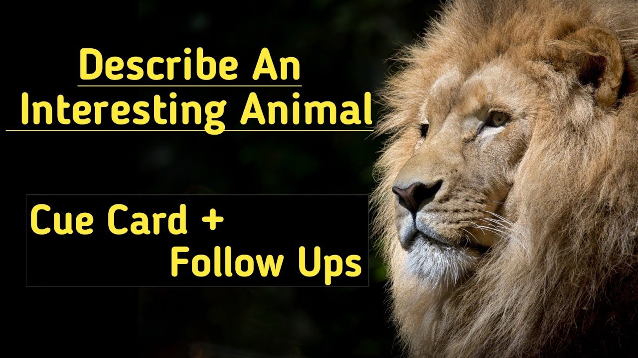 Describe an interesting animal || Cue card with Follow ups || Cue Card ...