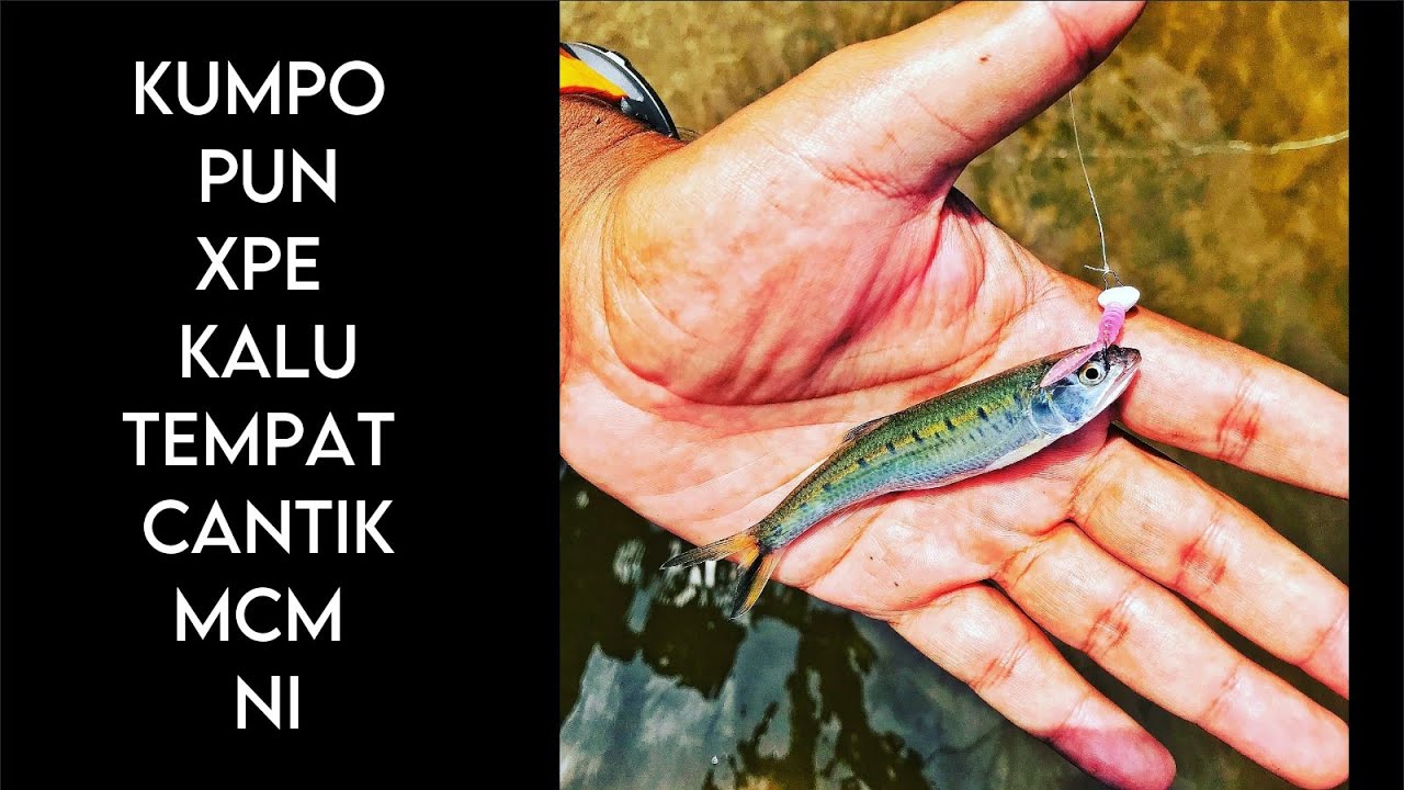 Ultralight Fishing | SIKANG Kelantan mmg A+ - YouTube