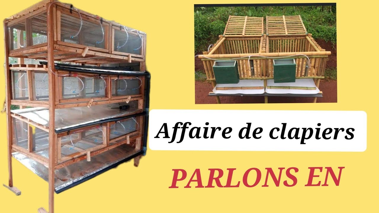 Savoir faire le bon choix en matière| | de clapier| clapier moderne ...