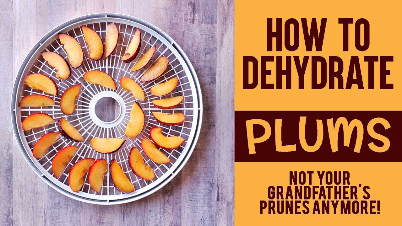 HOW TO DEHYDRATE PLUMS | Dried Plums, not your grandfather's prunes ...