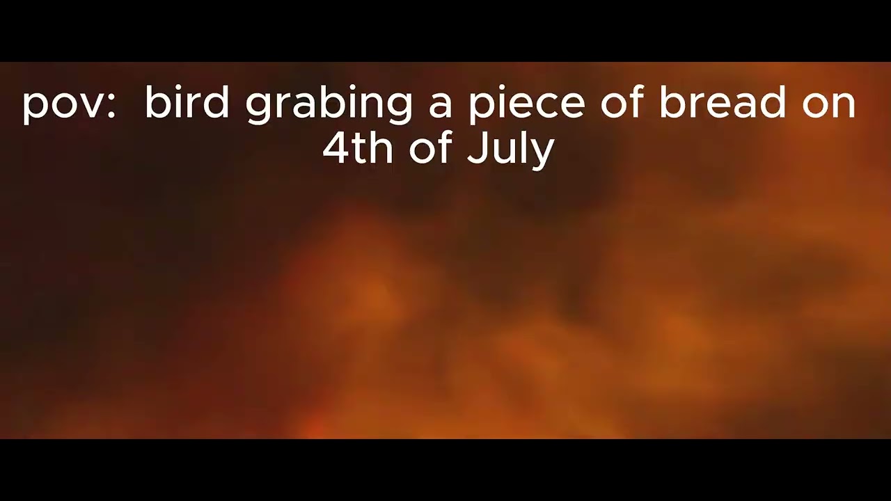 birds - YouTube
