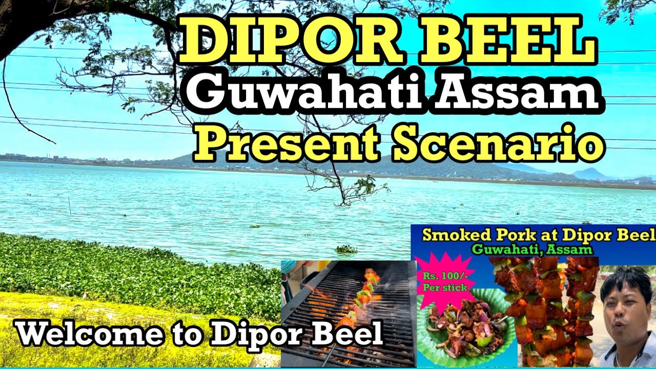 #DIPOR BEEL Guwahati Assam || Present Scenario ||Dipor Beel #BN WARY ...