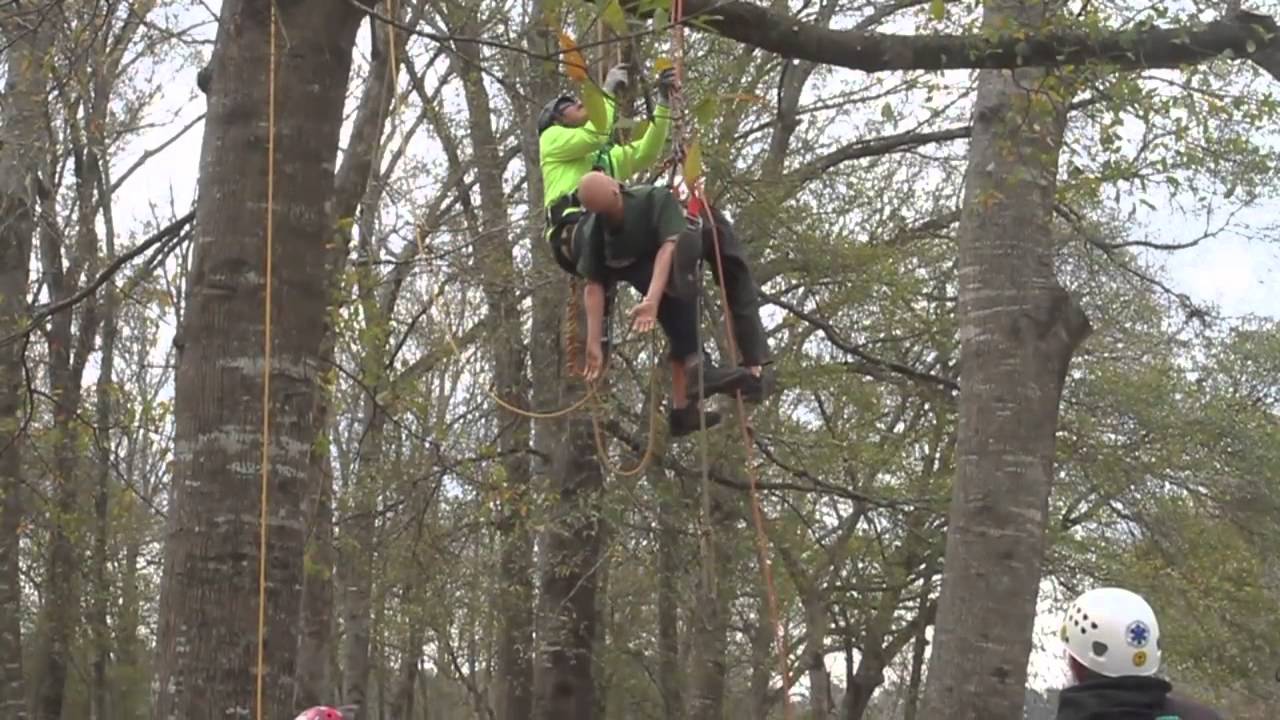 Tree Climbing Champs at Cooper Creek - YouTube