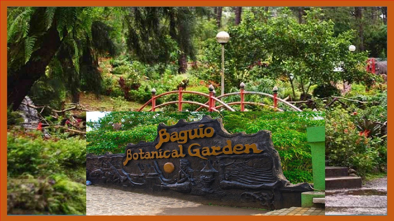 Botanical Garden In Baguio City Fasci Garden