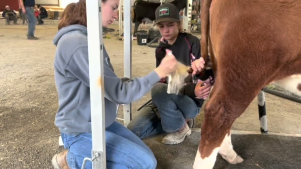 30 in 30 #16: Fitting a Calf at a Kirk Stierwalt Clinic - YouTube