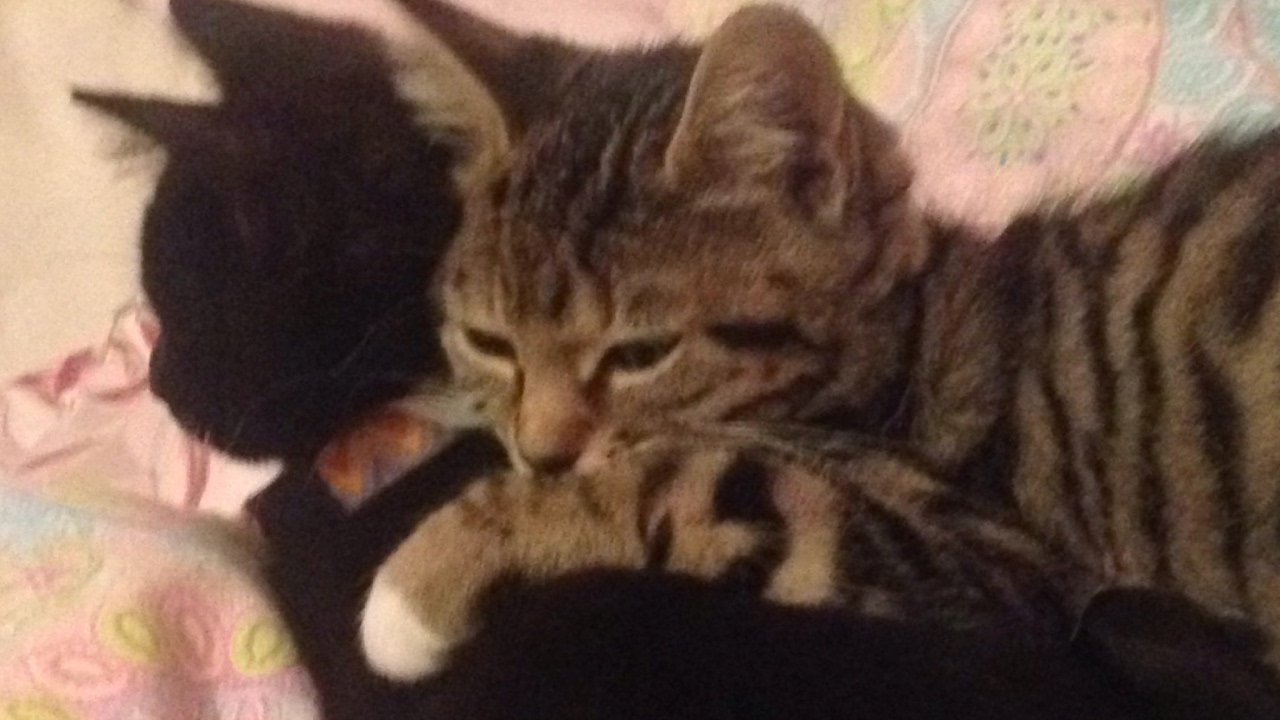 Sorry and pleaseeeeee join - YouTube