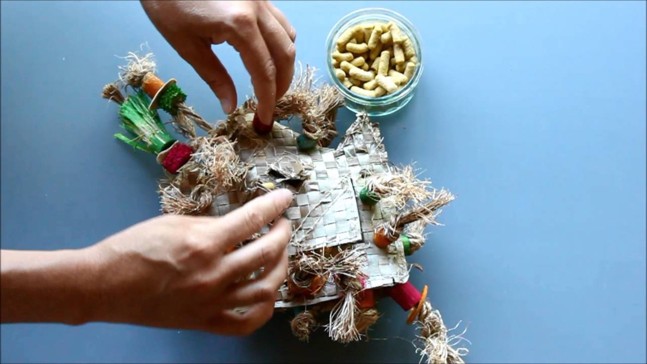 Foraging with Tropican High Performance Sticks - YouTube