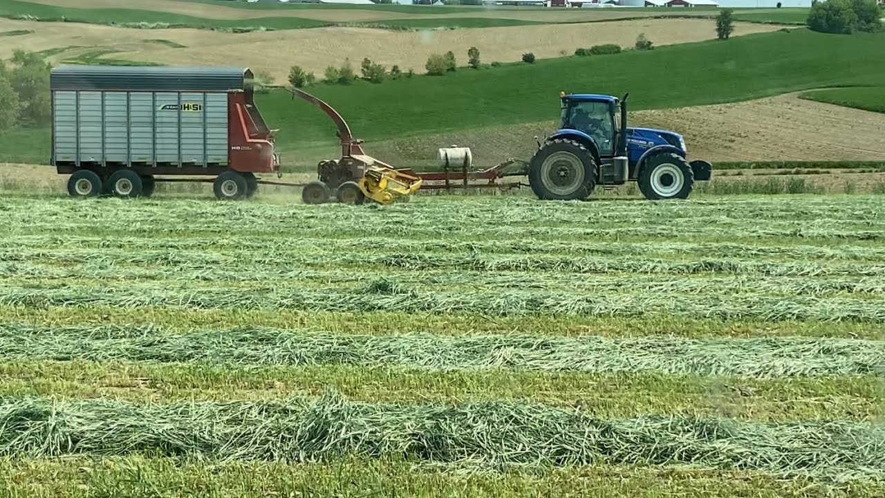 Turning Rye Into Silage! - YouTube