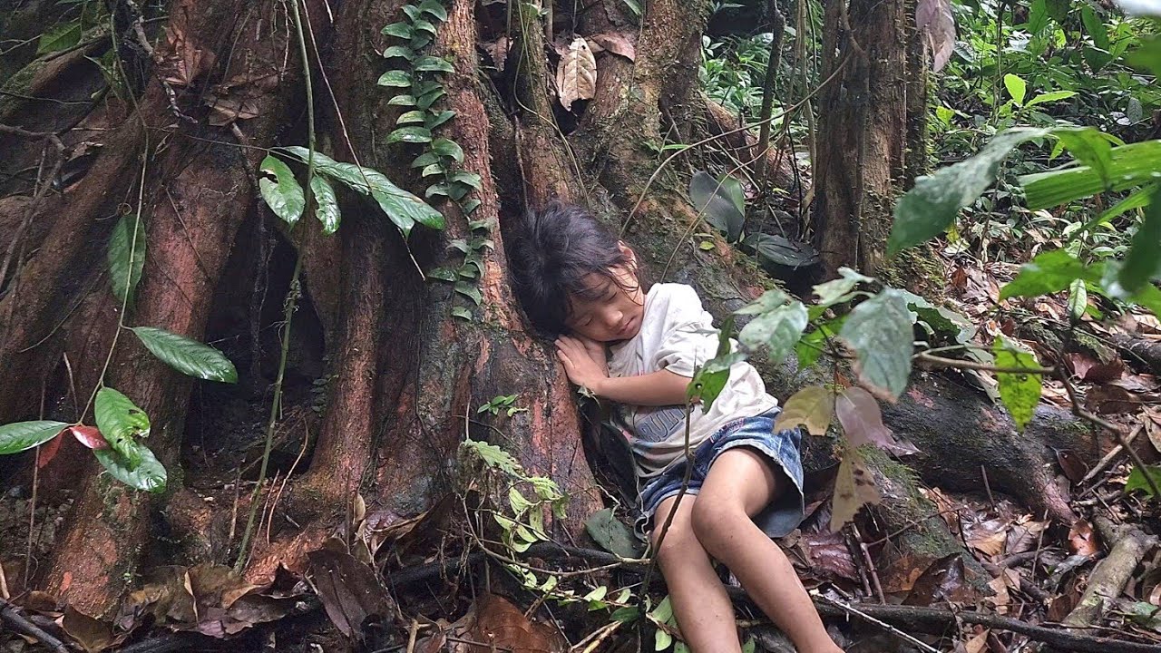 Mother: Trying in vain to find her lost child in the forest, and asked for help - YouTube