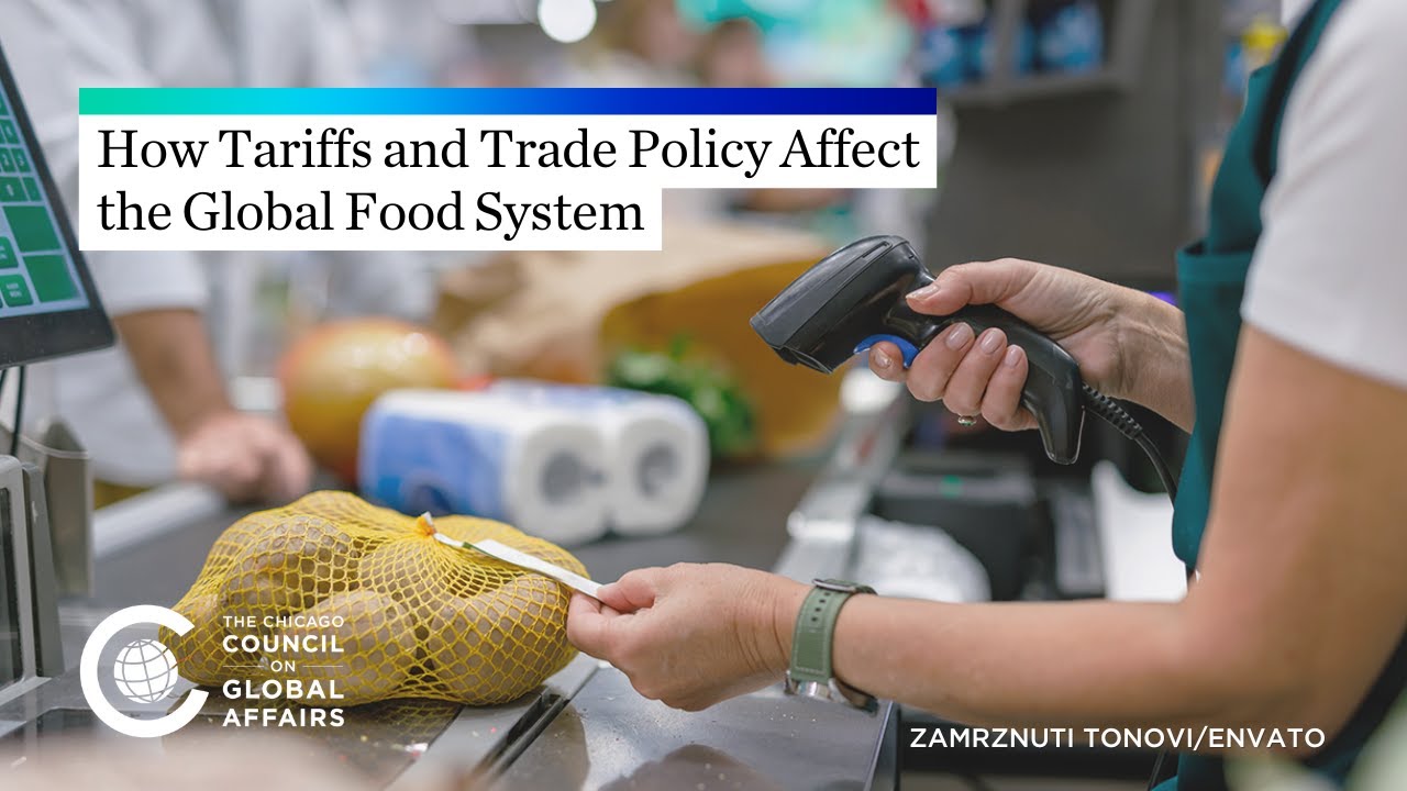 How Tariffs and Trade Policy Affect the Global Food System - YouTube