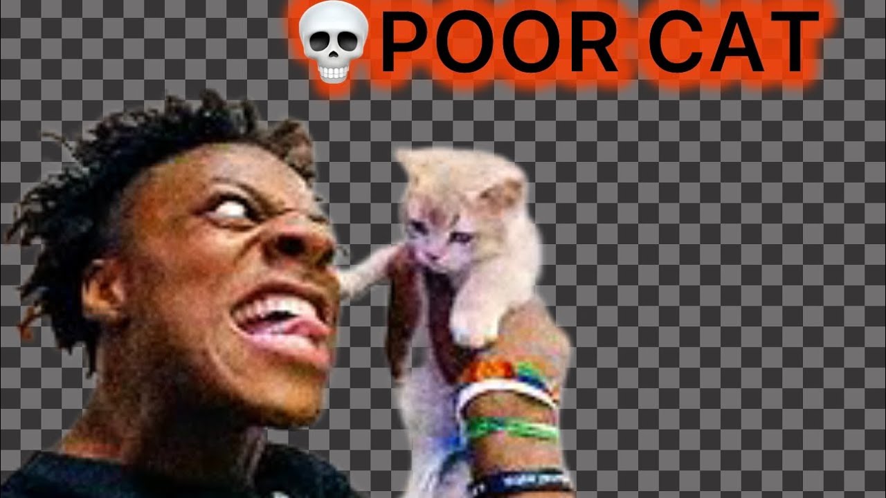 IShowSpeed Adopts 2 pet cats 😭 - YouTube