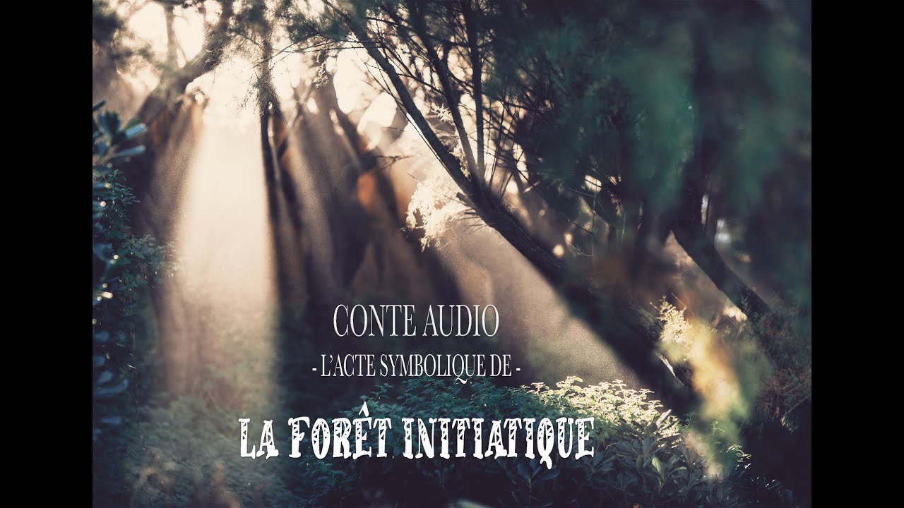 🦉 CONTE AUDIO SYMBOLIQUE - La forêt initiatique - YouTube