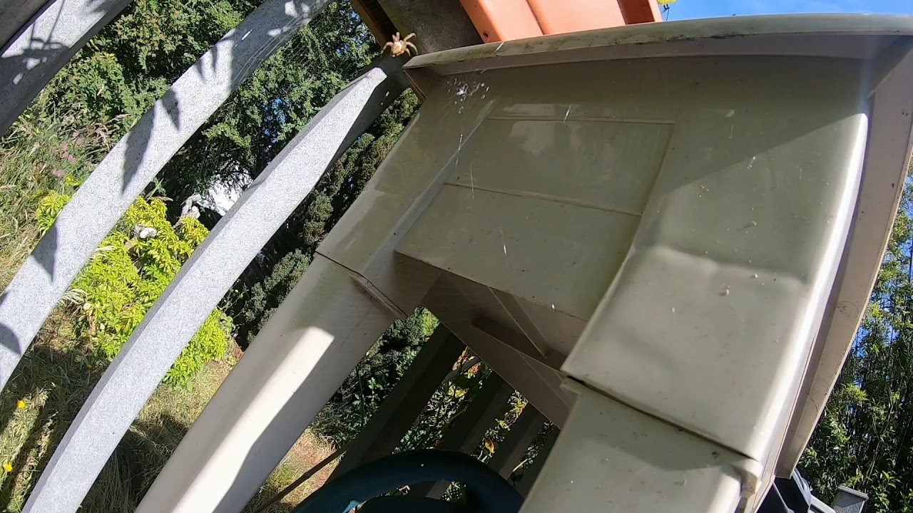 Spider web time-lapse - YouTube