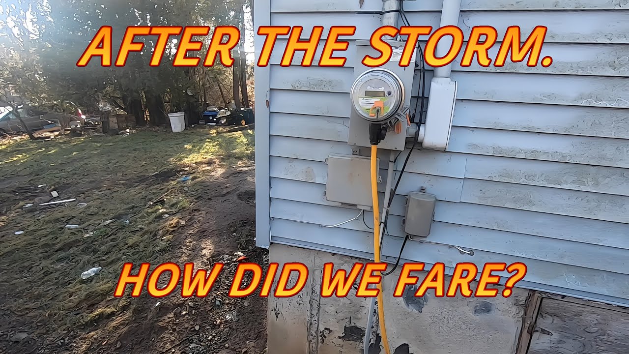 AFTER THE STORM. HOW DID WE FARE? - YouTube