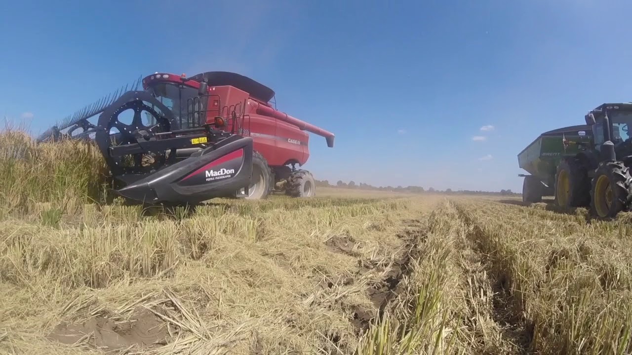 Spargo Farms 2018 Rewind - YouTube