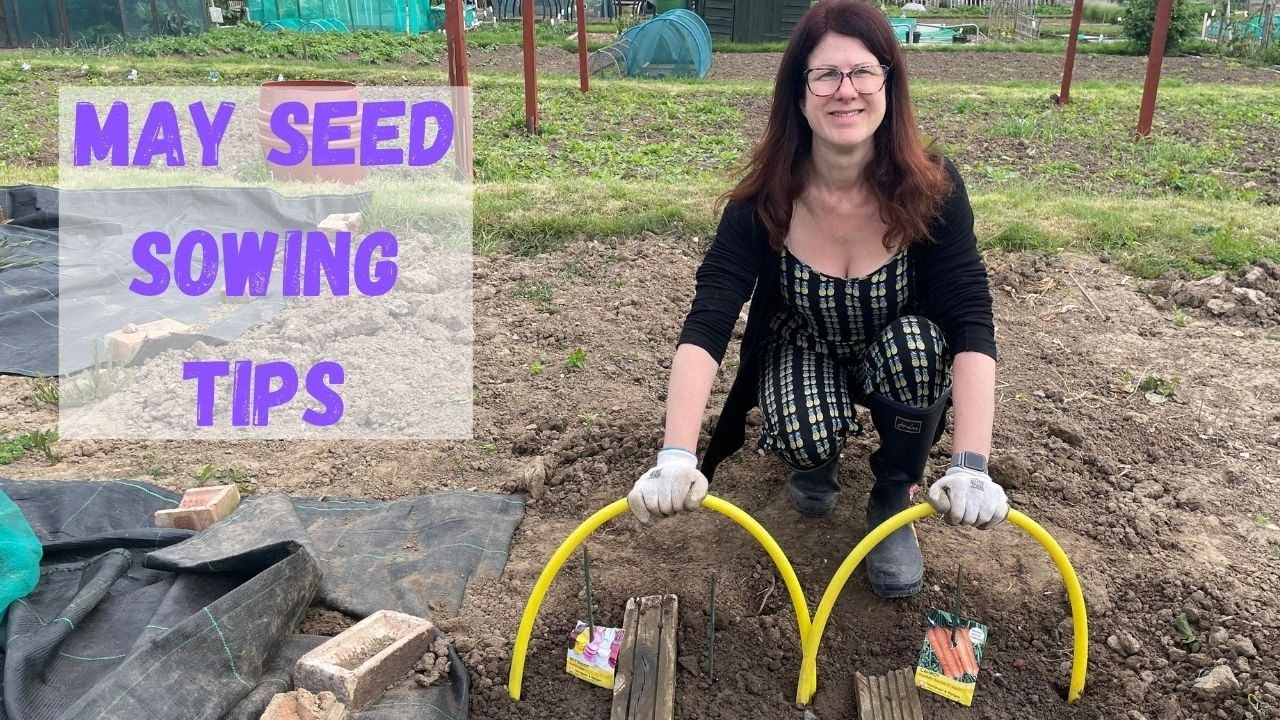 Tips For Seed Sowing In May - Allotment Gardening For Beginners - YouTube
