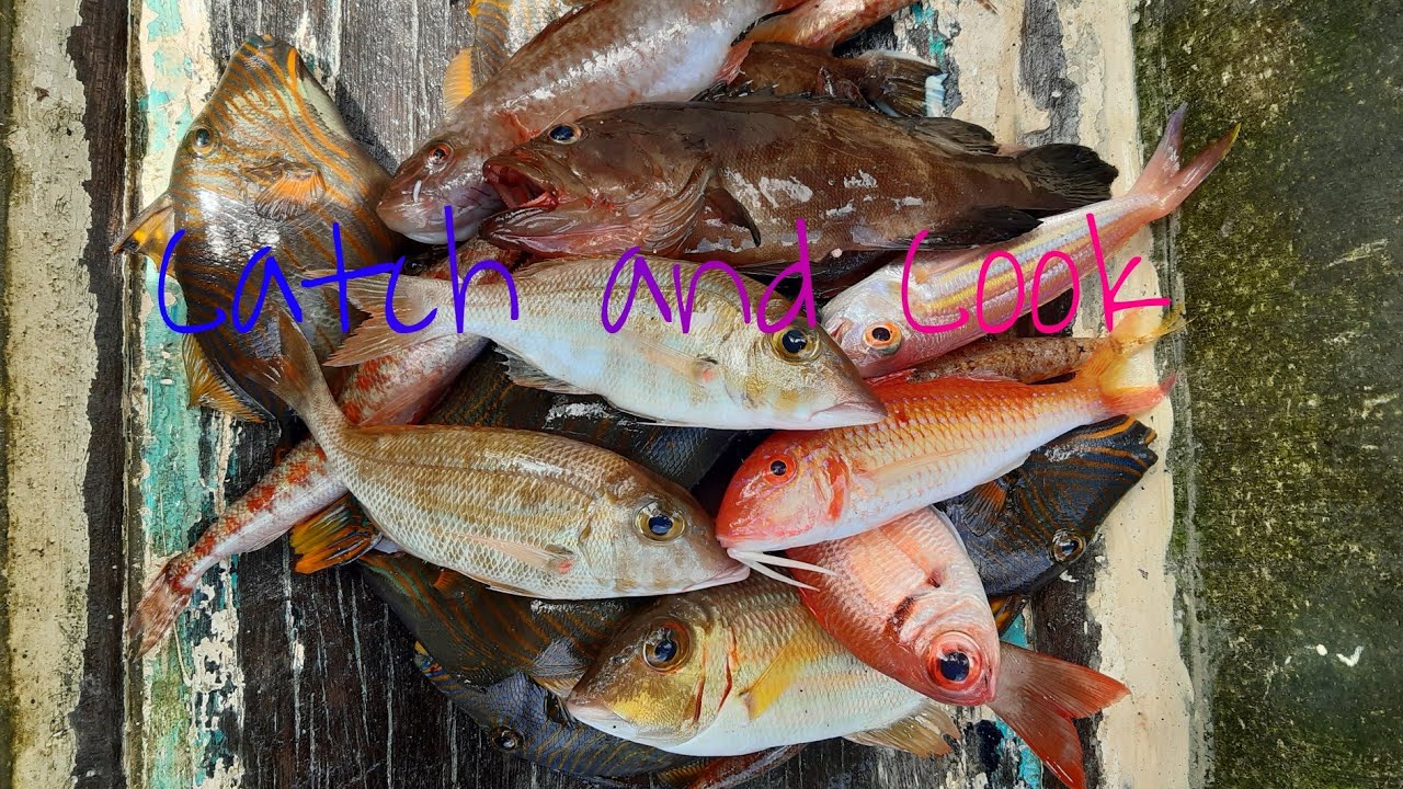 Ep. 18 Bait fishing Sari saring isda (Catch and Cook) Part 2... - YouTube