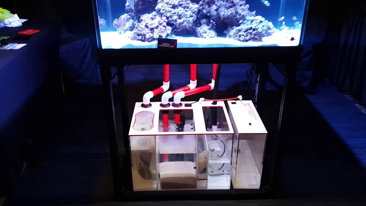 Synergy Reef Overflow MACNA 2015 - YouTube