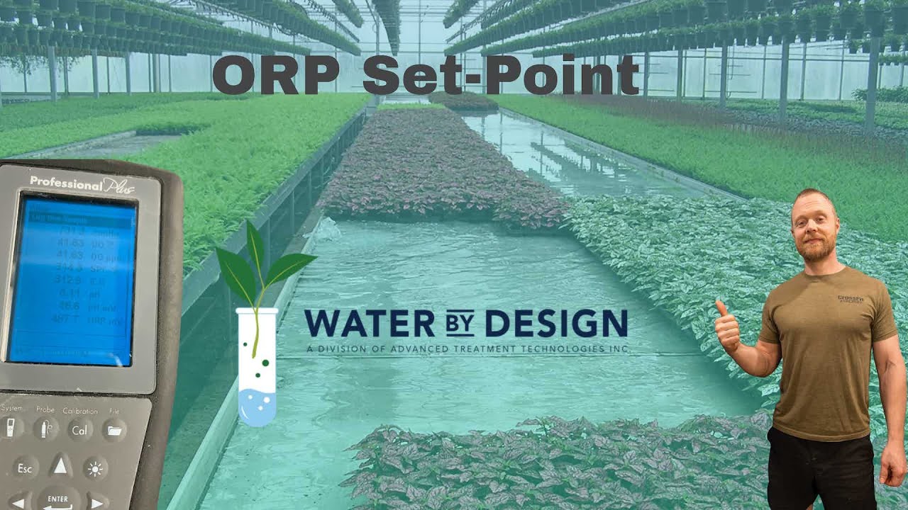 Understanding ORP Set-Point - YouTube