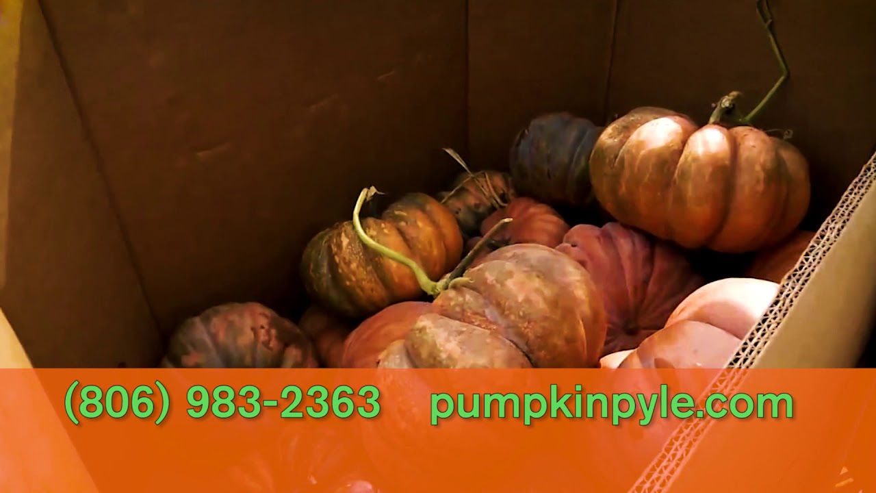 LCCT Floydada Pumpkin Pyle - YouTube