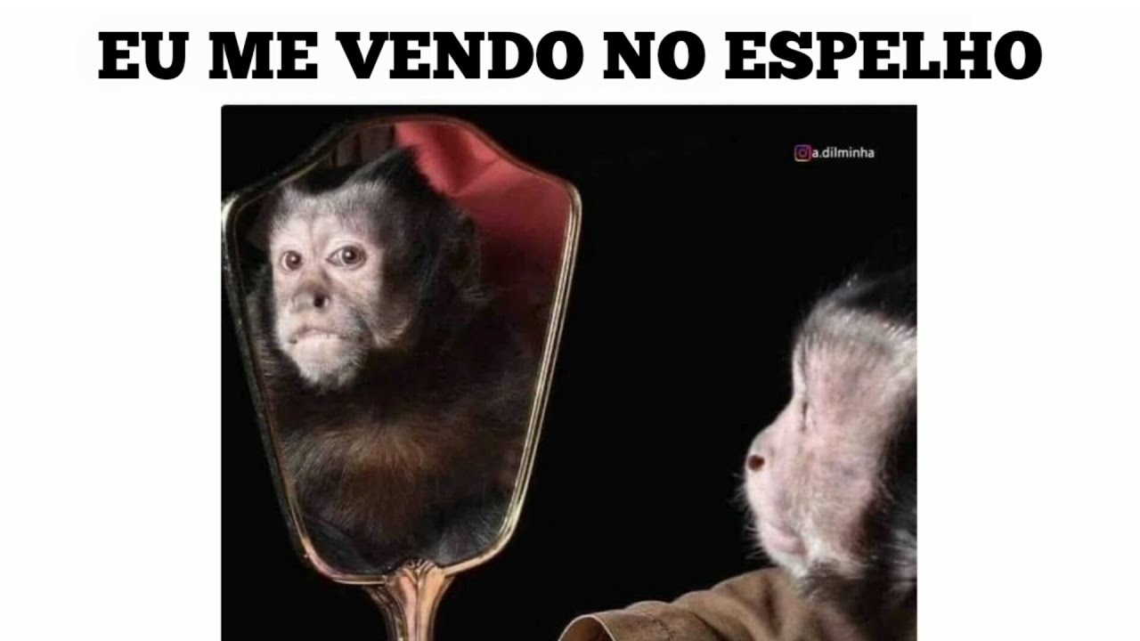 MELHORES MEMES EM IMAGENS - EU ME VENDO NO ESPELHO - YouTube