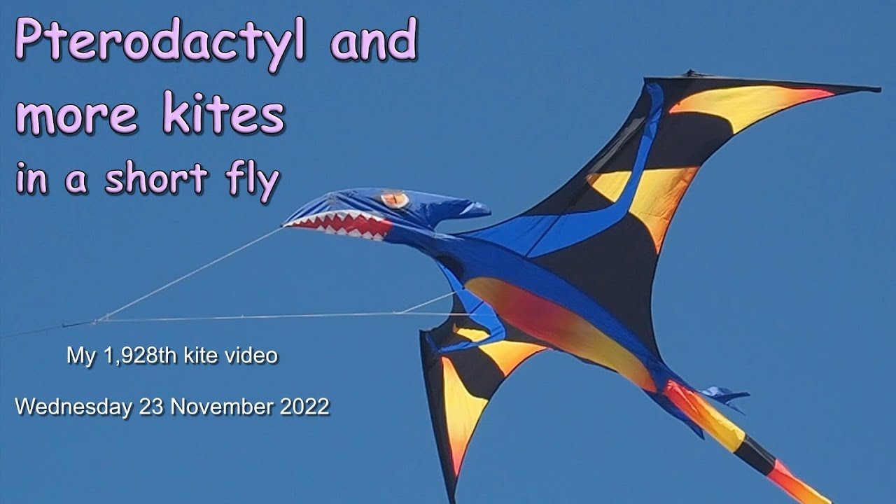 Pterodactyl and more kites in a short fly - YouTube