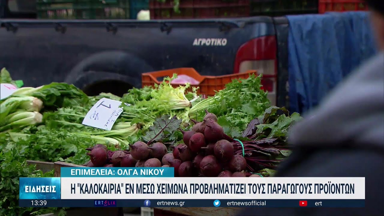 Οι επιπτώσεις του καιρού στα προϊόντα | 30/12/2022 | ΕΡΤ - YouTube