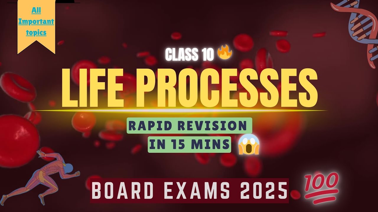 Life Processes Class 10 | One Shot | Rapid Revision 🔥 | NCERT - YouTube