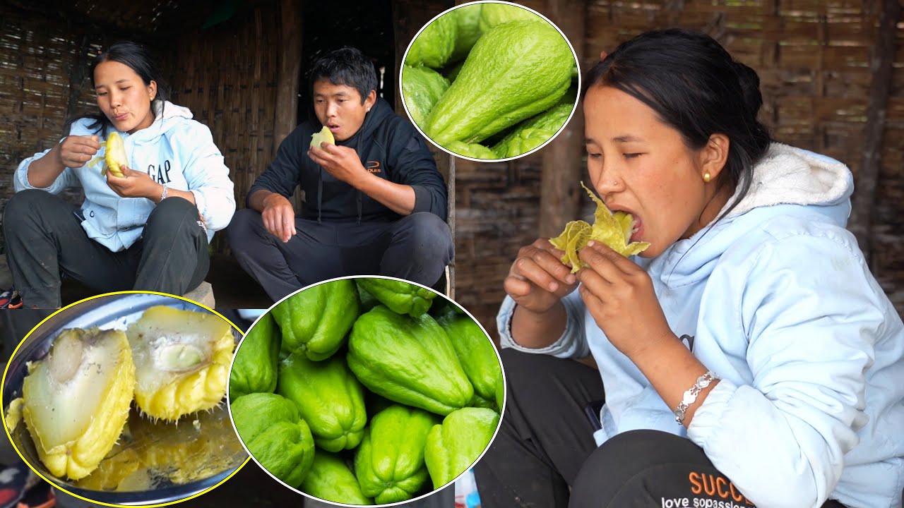 Beautiful Manjita Cooking green Chayote || We are collecting small ...