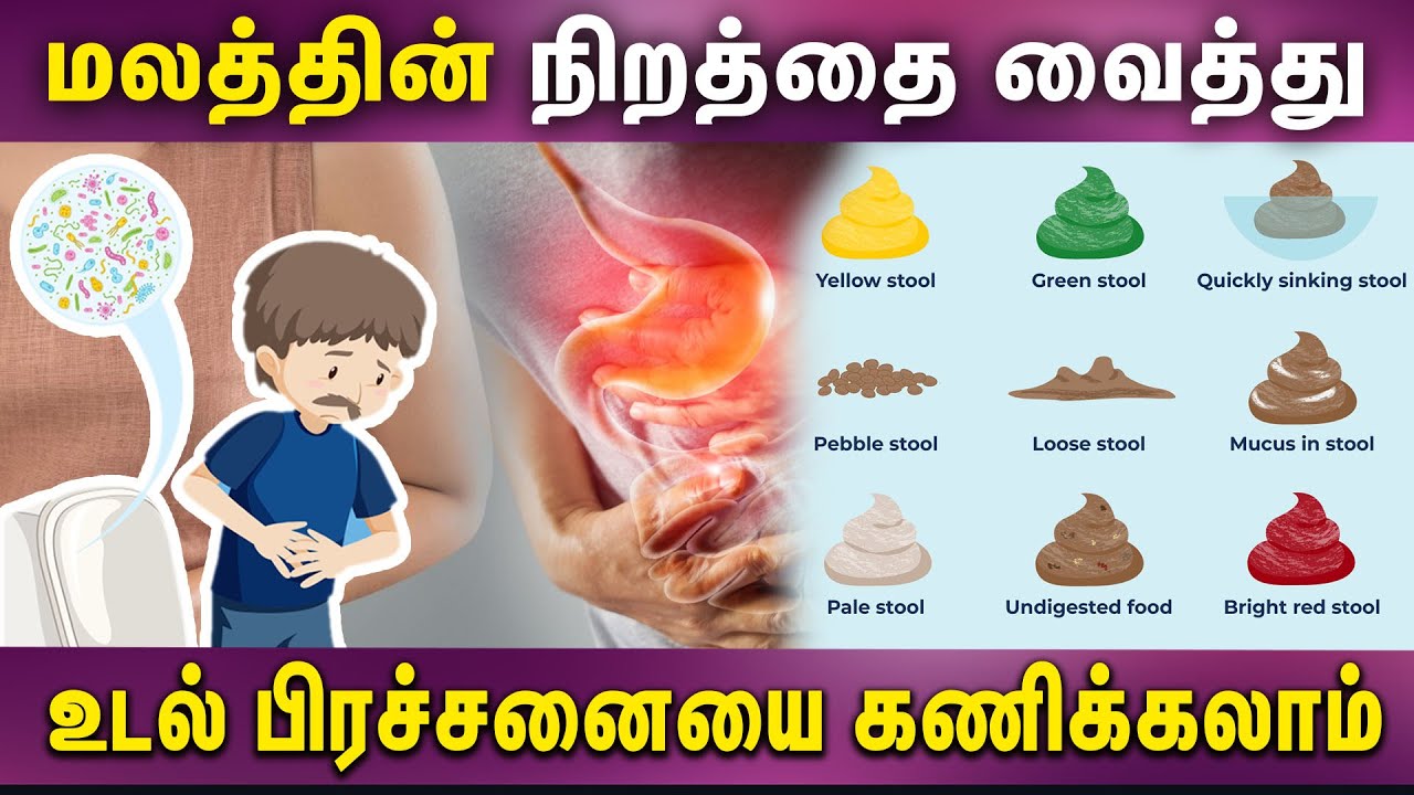 Motion Colour Defined In Tamil motion-colour-defined-in-tamil
