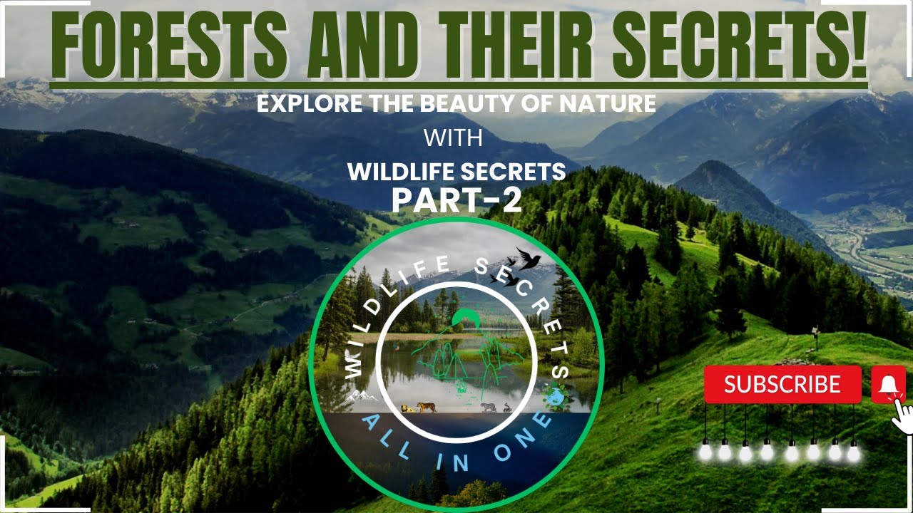 Wild And Their Secrets|Part-2 - YouTube