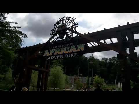 Turtle Back Zoo African Adventure 🦓🐘 | Full Walking Tour July 16, 2020 ...