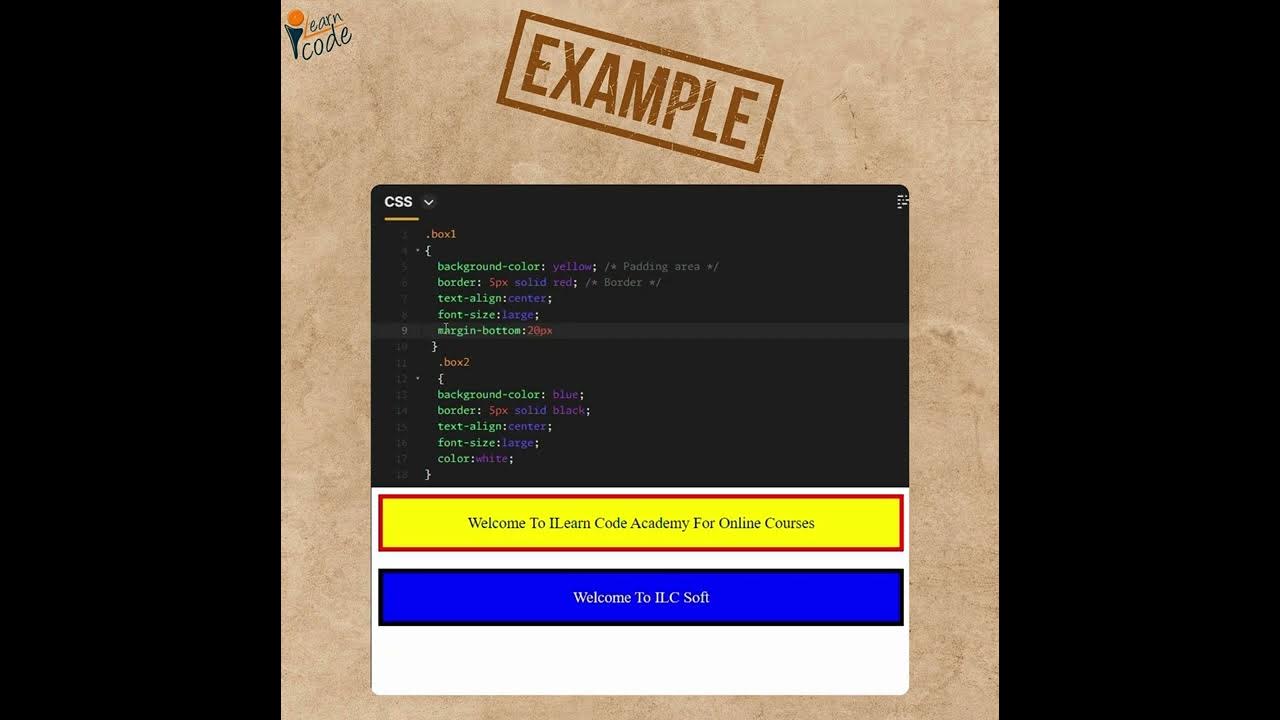 الفرق بين Padding و Margin في ال Css Youtube