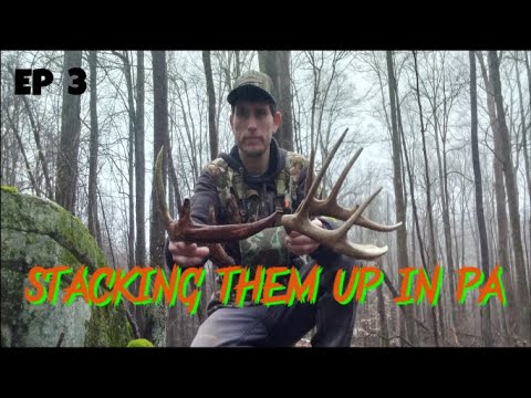 Pennsylvania Shed Hunting 2024 - GIANT OLD SHEDS! - YouTube