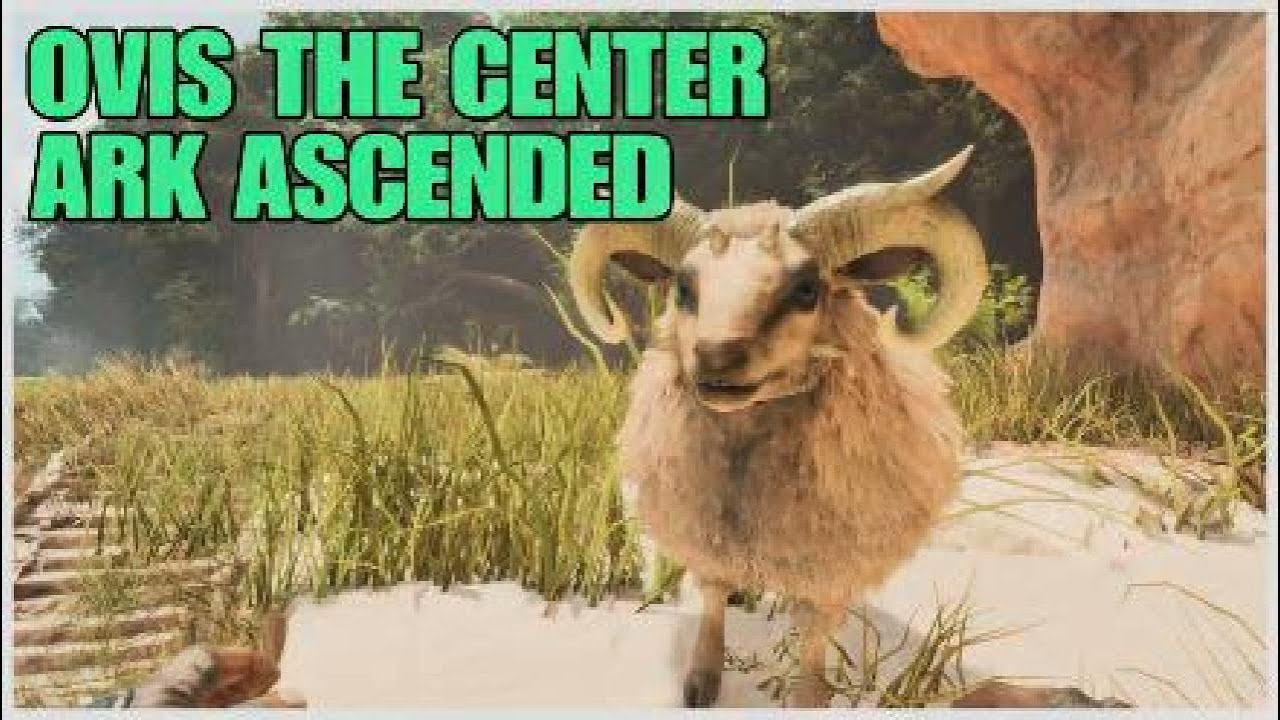 UBICACIÓN OVIS en THE CENTER ARK ASCENDED -cómo conseguir CARNE DE ...