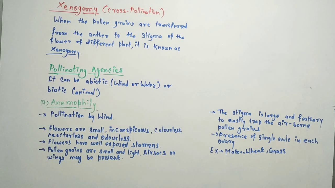Cross Pollination (Xenogamy) | Anemophily + Hydrophily | Sexual ...