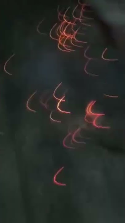 petasan meledak !! - YouTube