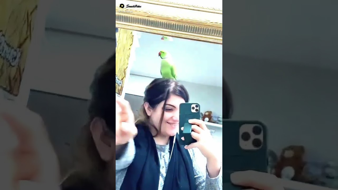 Zaba Gull Pushto Song Nice Subcribe Ka - YouTube