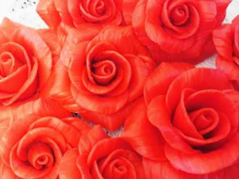 Qızılgüllər. Розы.