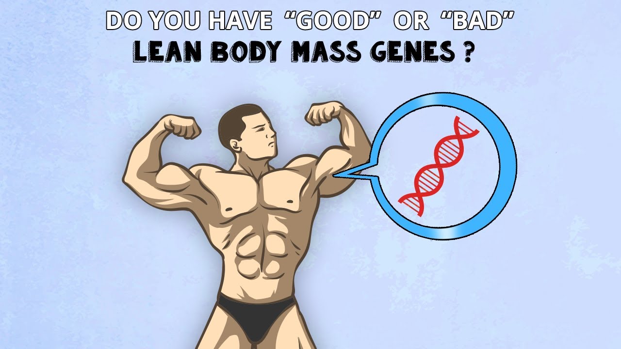 How Muscle Building is Influenced by Lean Body Mass Genes - YouTube