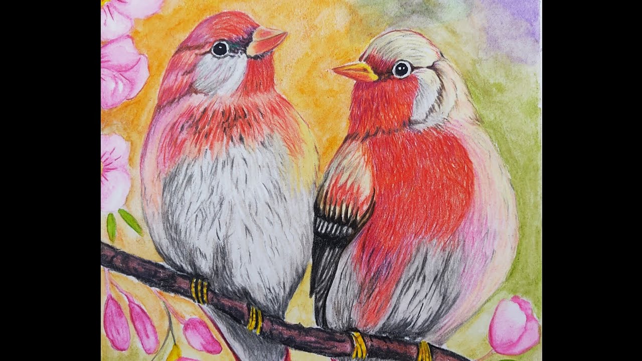 How to Draw Birds with Colour Pencils| Love Bird Sketch | Bird Painting ...