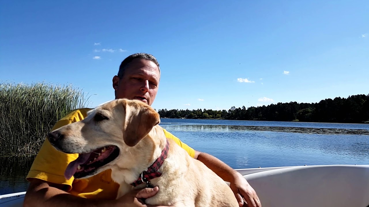 Hope Love and Dogs | For Love of a Labrador Retriever - YouTube