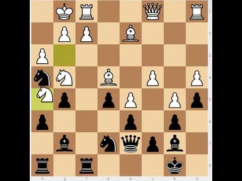 Chess game - S. Valentine's match: the Hippo defense strikes back ...