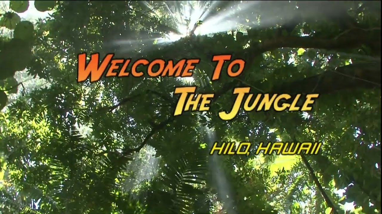 Welcome to the Jungle: Hilo, Hawaii | Indiana Jones Behind the Scenes ...