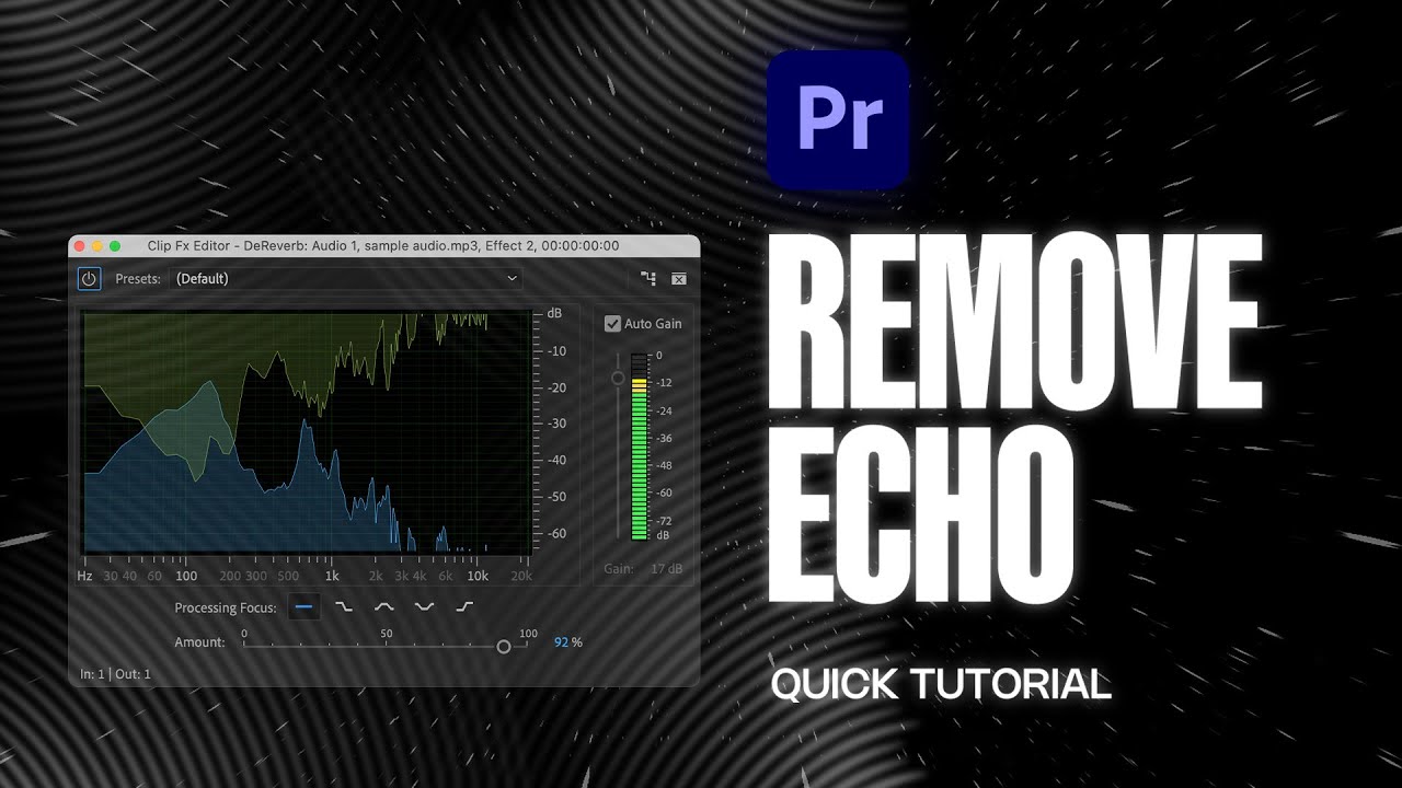 How to Remove Echo in Premiere Pro - Quick Tutorial - YouTube